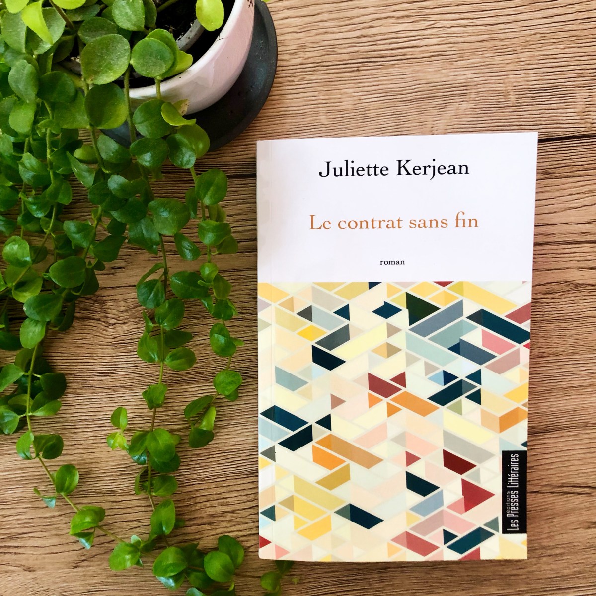 Sortie de mon premier roman ! – Juliette Kerjean